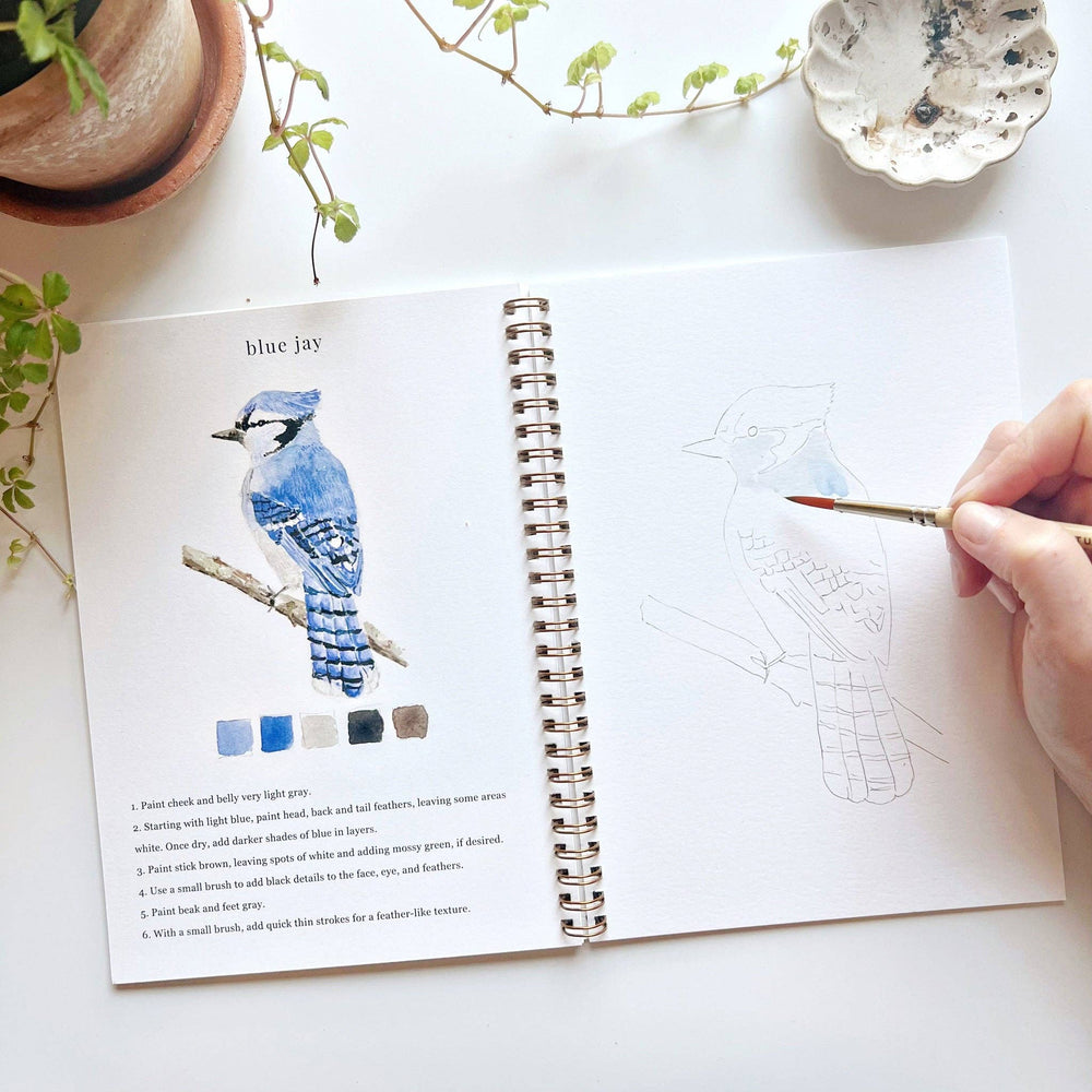 emily lex studio Birds Watercolor Workbook – The Kitchen