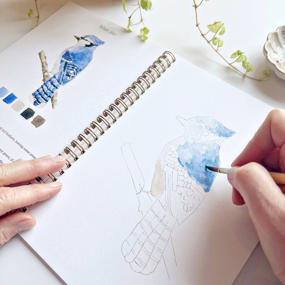 emily lex studio Birds Watercolor Workbook – The Kitchen